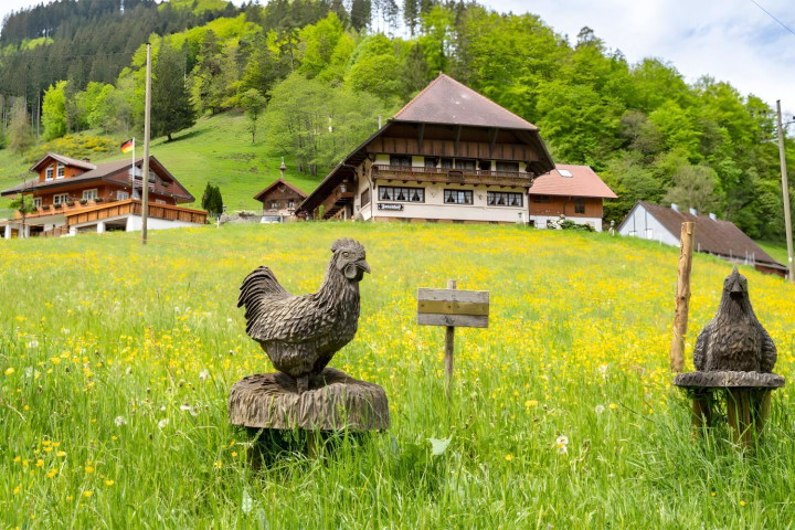 Josenhof - Bade-Wurtemberg