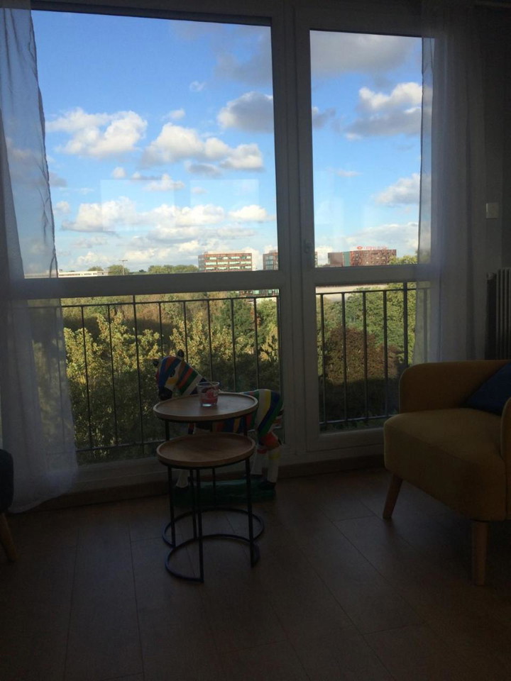 Safari Dream - Lille, France