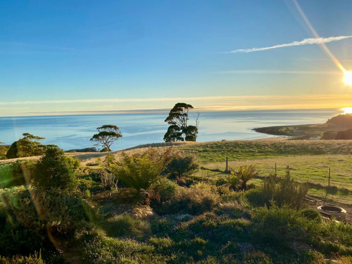 Penguin Seaside Farm - Tasmania