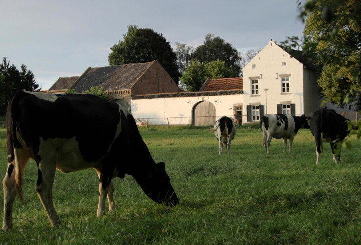 La Vache Contente - Maastricht