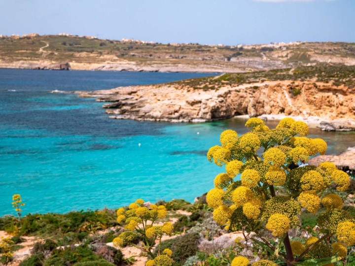 Cara Flats By Homely - Malta