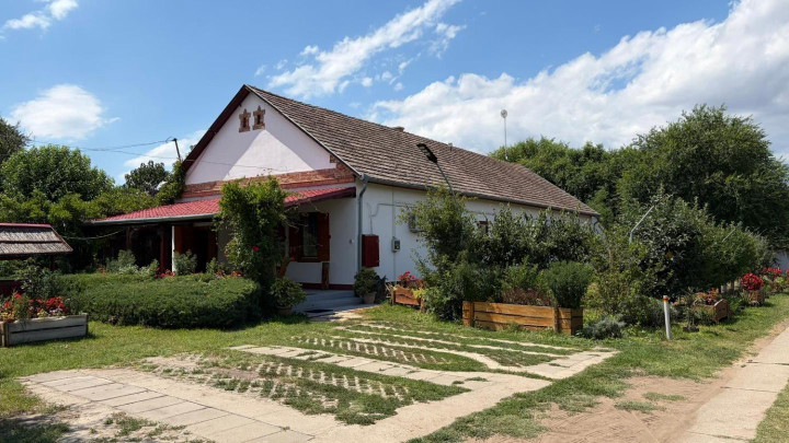 Dobó Tanya - Szeged