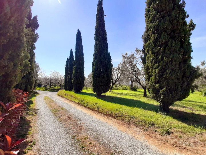 Il Palagio - Prato