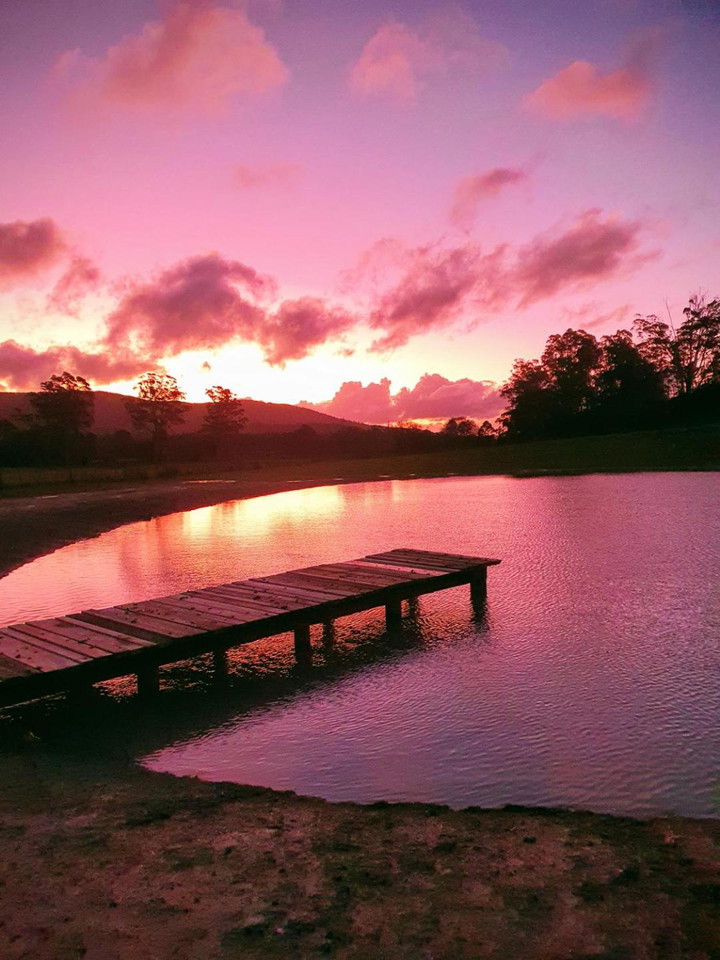 Bywater - Pet Friendly Farmstay By The River - Tasmania