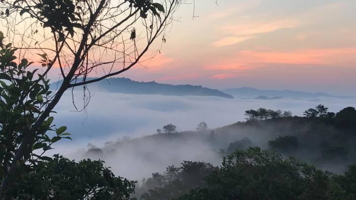 The Apiary Mountain Camp And Farm - Tanay