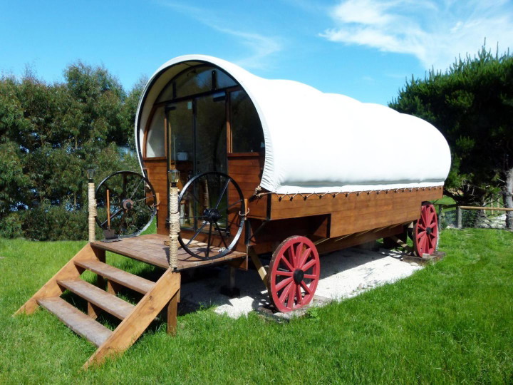 Wacky Stays - Unique Farm-stay Glamping Rentals, Free Animal Feeding Tours - Kaikōura