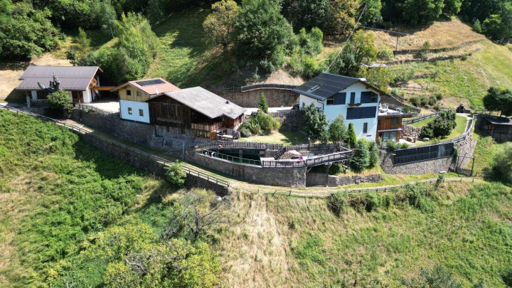 Brentwaldhof Appartements - Alpe di Siusi