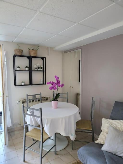 Charmant Appartement 35 M2 Avec Terrasse Et Jardin - Montmorency