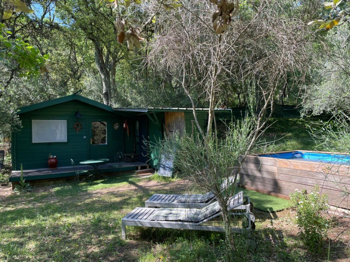Chalet Avec Piscine Privée Dans La Forêt - Le Muy
