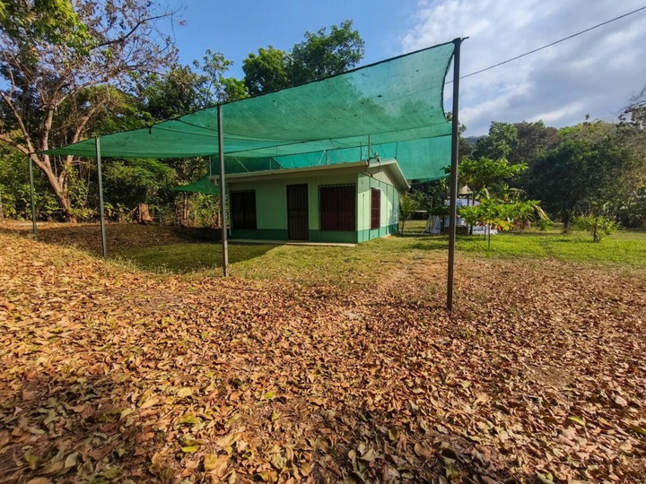 Coyolito Mountain - Playa Blanca, Costa Rica