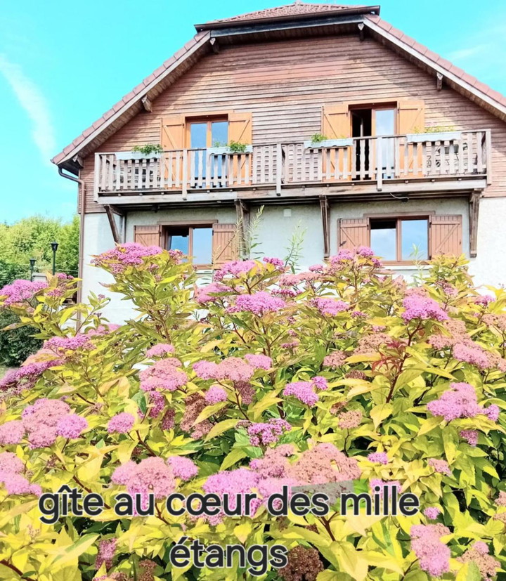 Gîte Des 1000 éTangs - Luxeuil-les-Bains