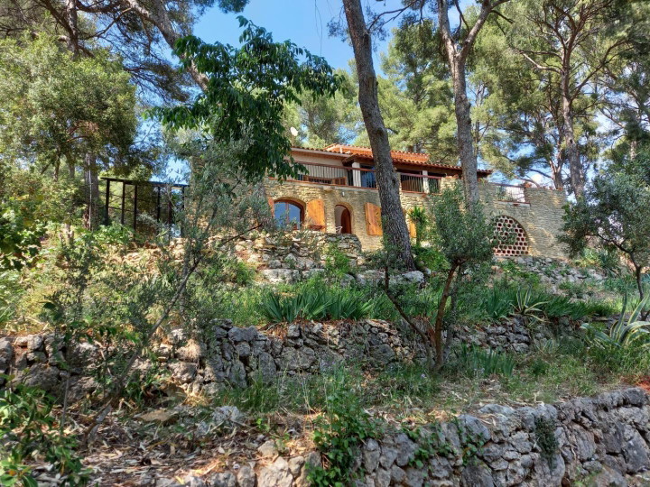 Les Pins - Le Castellet
