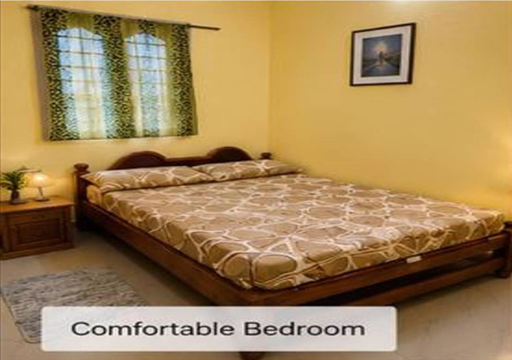Shankars Family Homestay - India