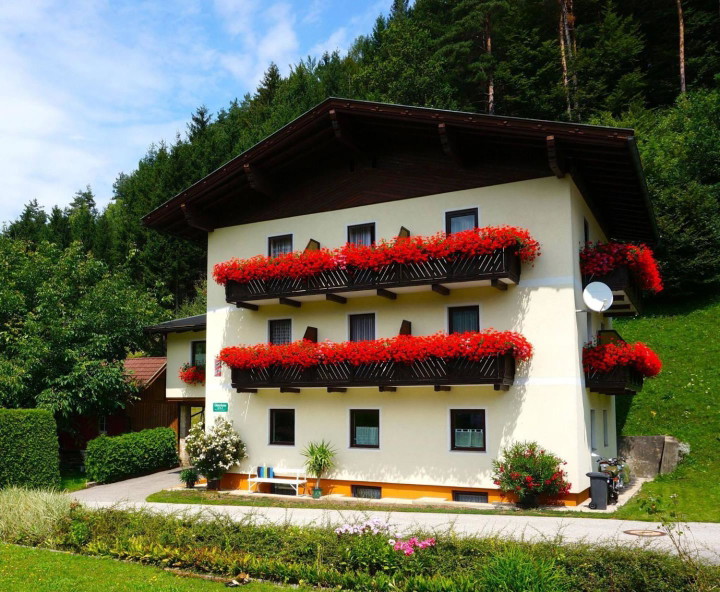 Haus Peter - Villach