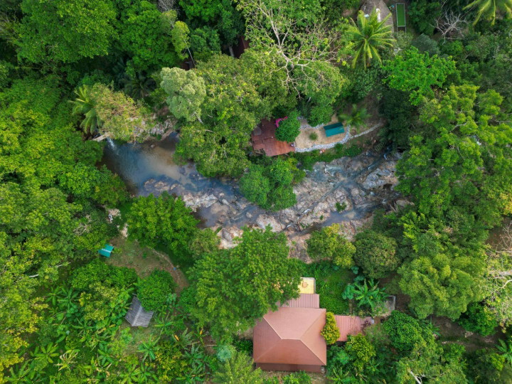 Oasis Forest Garden - Thailand