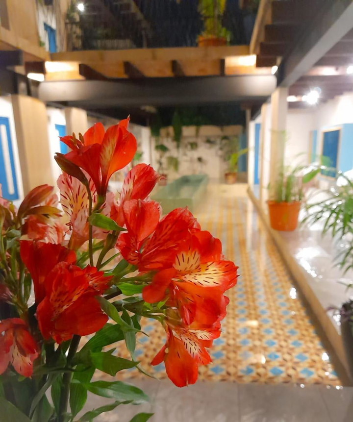 Hotel Pepen - San Cristóbal de Las Casas