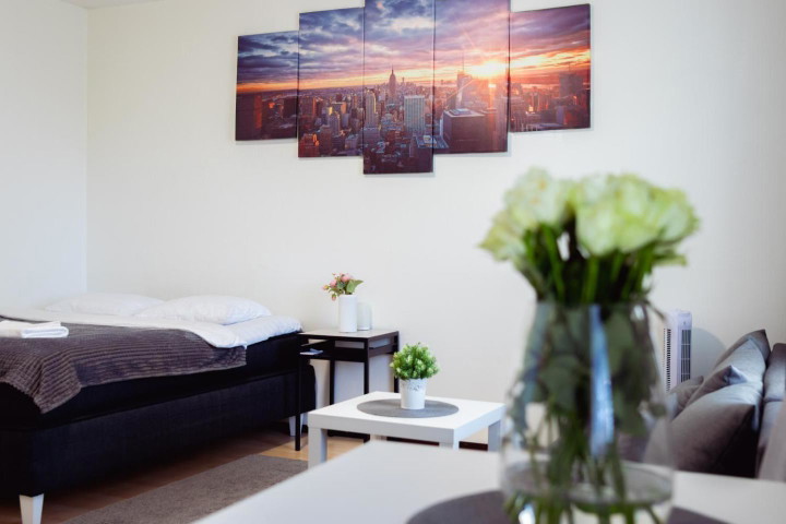 Railway&bus Station Studio, Free Parking - Oulu