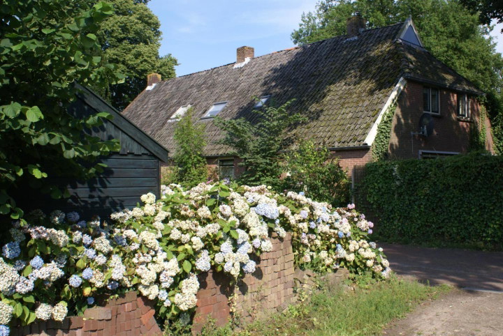 Under The Oaks - Assen