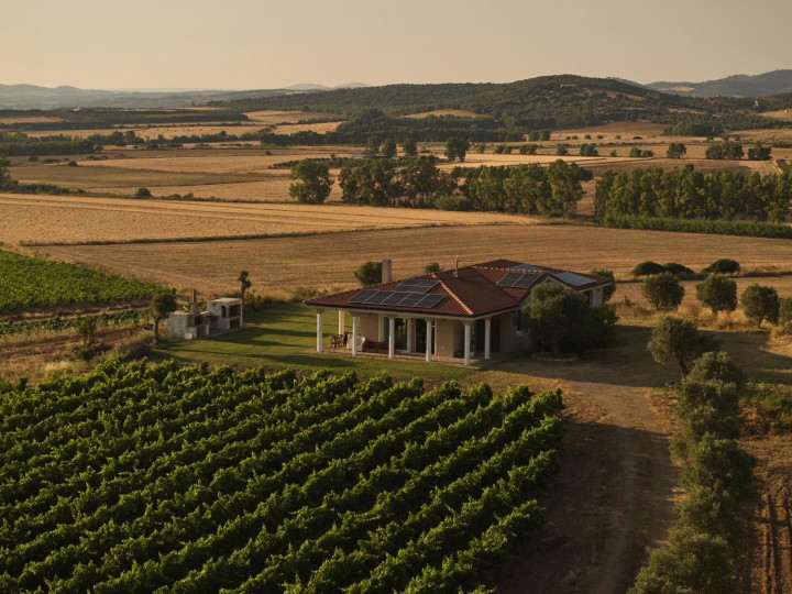 Villa Colle Dei Vigneti - Sardinian Vineyard Estate - South Sardinia