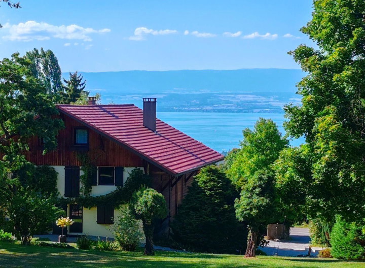 Domaine De L'olifant - Thonon-les-Bains