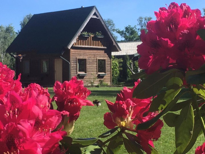Melluzi Chalet - Latvia