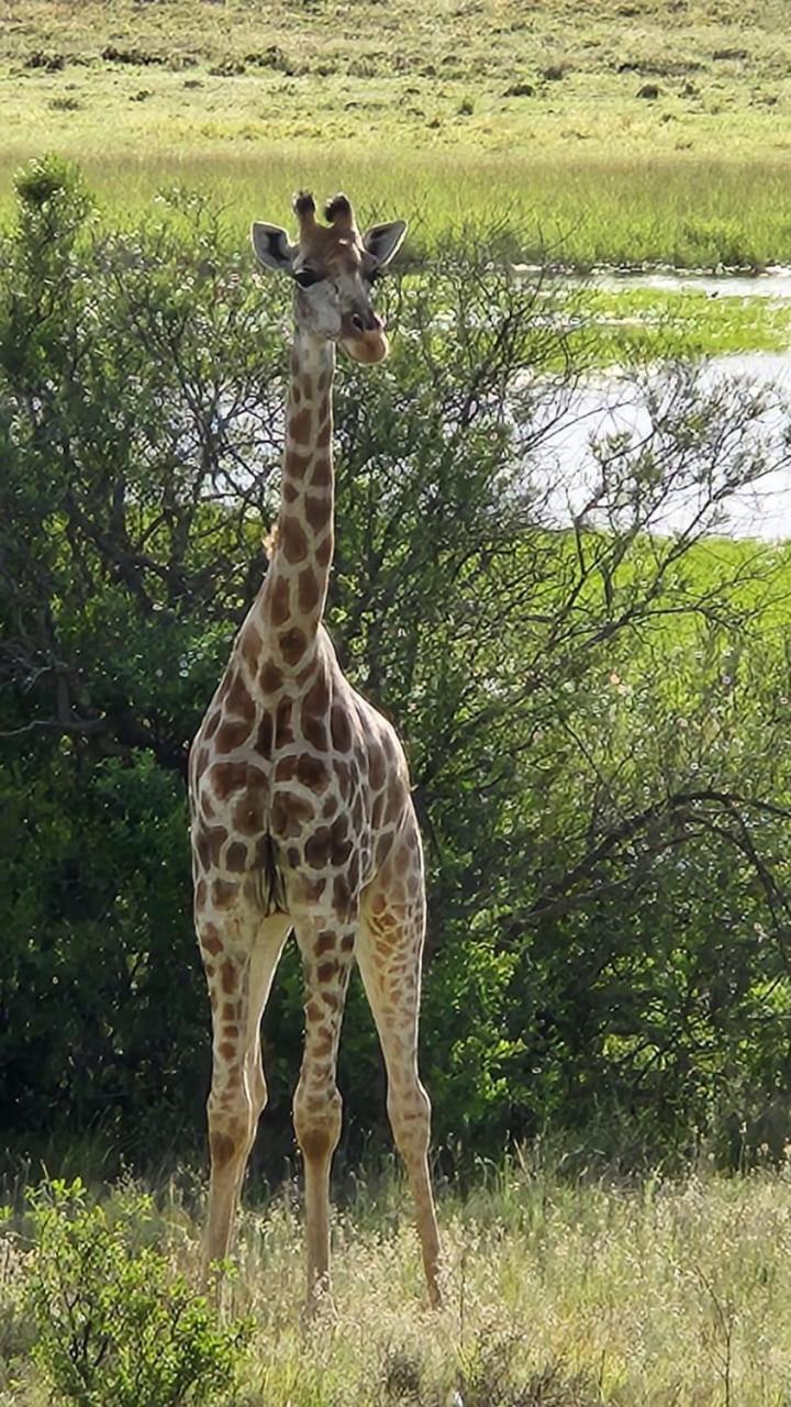 Goshen Guest Farm - Südafrika