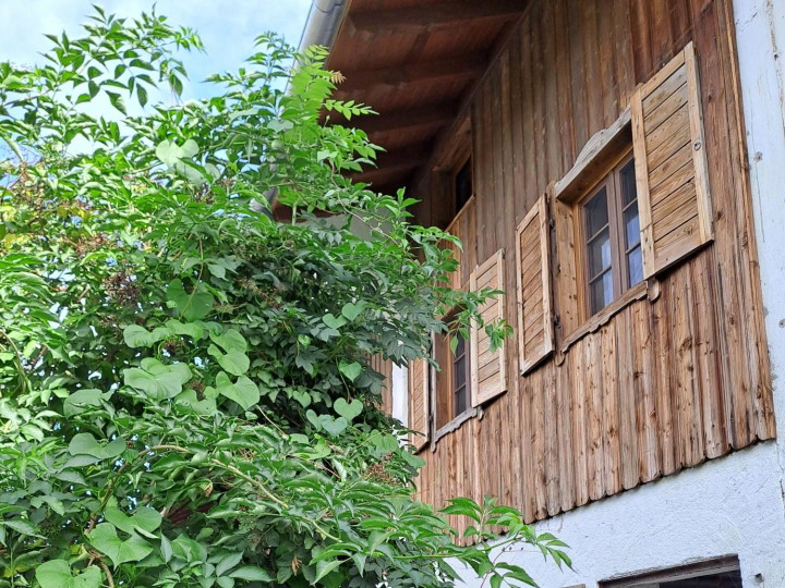 Ferienwohnung Sunseid N - Tegernsee
