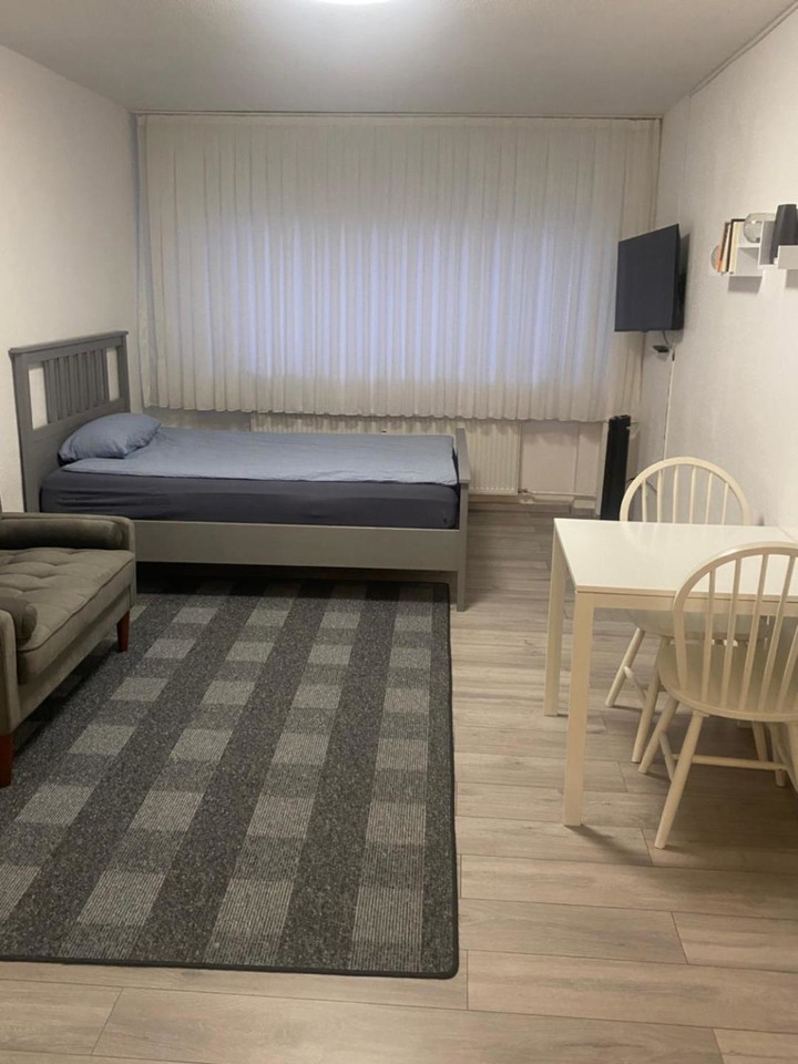 Ganze Apartment In Saarbrücken City - Saarbrücken