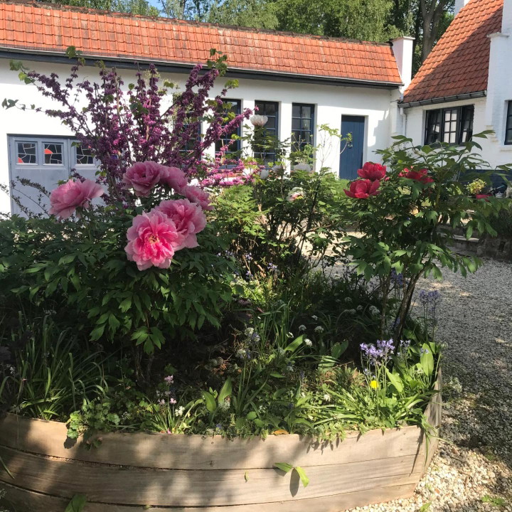 Ros & Marc Boutique Accommodation - Belgium