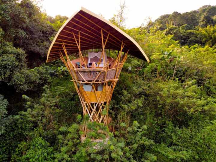 Selvaminca - Colombia