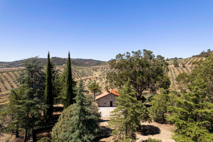 Acushla Original House Douro - Mirandela