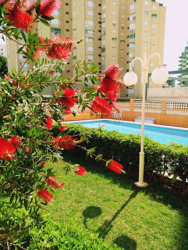 Apartamento Antillas - Gandía
