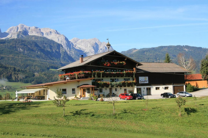 Landgasthof Hotel Zehenthof - Austria