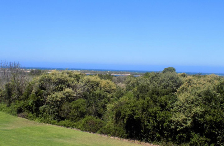 X3 On Goose With Sea View - Plettenberg Bay