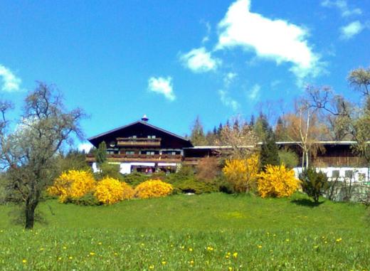 Biohof Schwanser - Wolfgangsee
