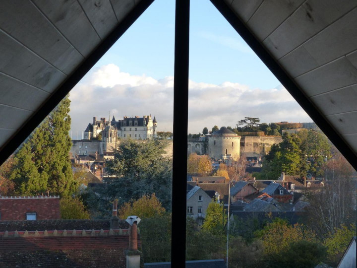 Maison Centre Ville Avec Parking, Jardin, Vue, Ac, Le Point De Vue De Leonard - Amboise