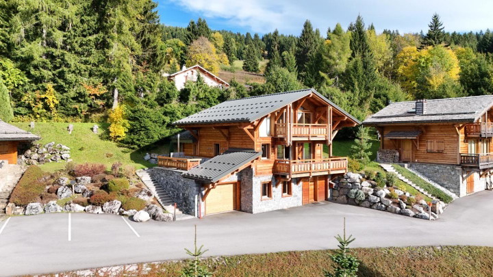 Aramis Chalet - Samoëns