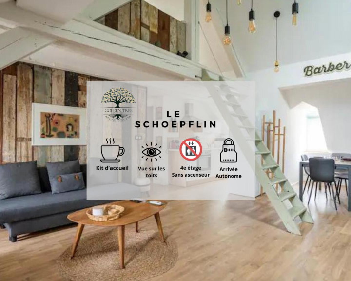 Le Schoepflin - Coeur De Strasbourg - Vue Toits - 