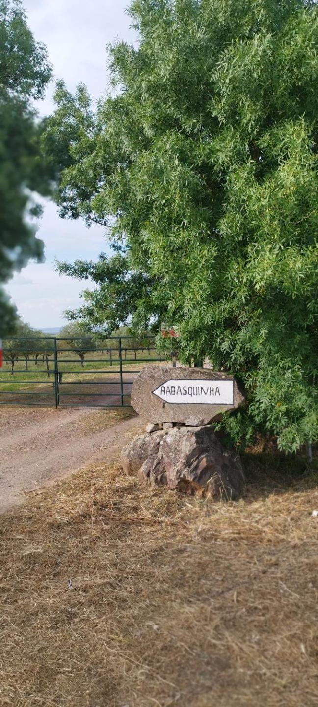 Lodge Rabasquinha - Alentejo