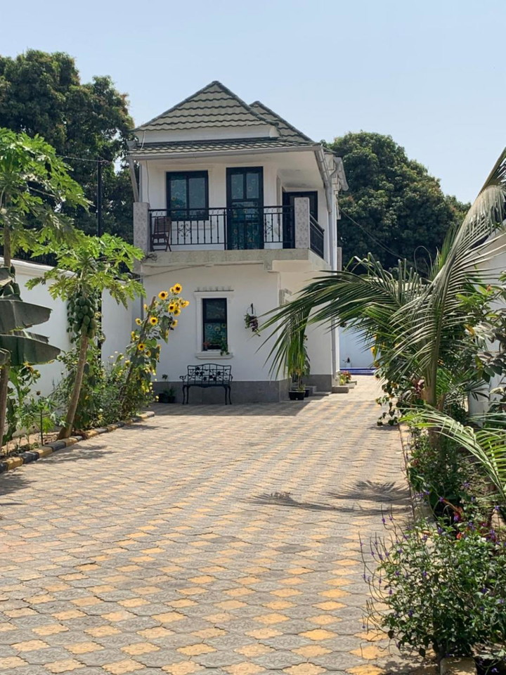 Cuckoo's Nest - The Gambia