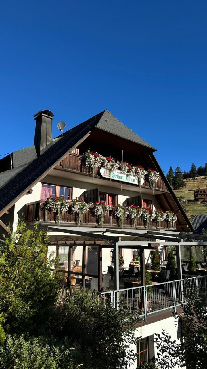 Hotel & Restaurant Grüner Baum - Die Grüne Oase Am Feldberg - Kirchzarten