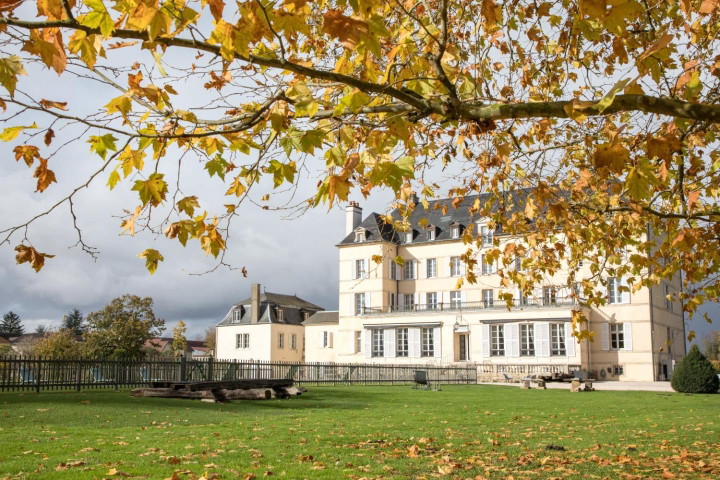 Château De Saulon - Nuits-Saint-Georges