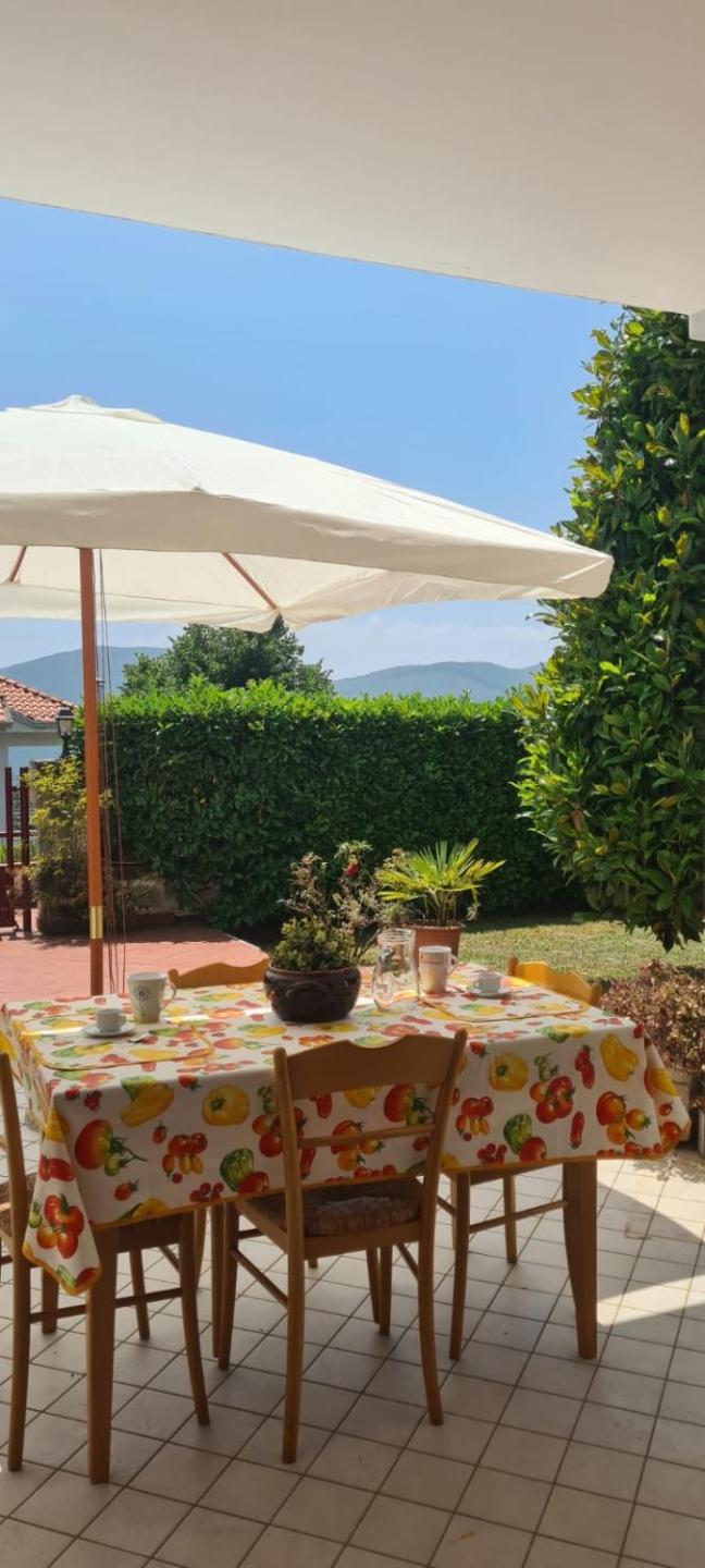 La Magnolia - Anagni