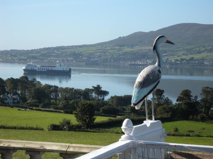 Seaview Guesthouse - Carlingford