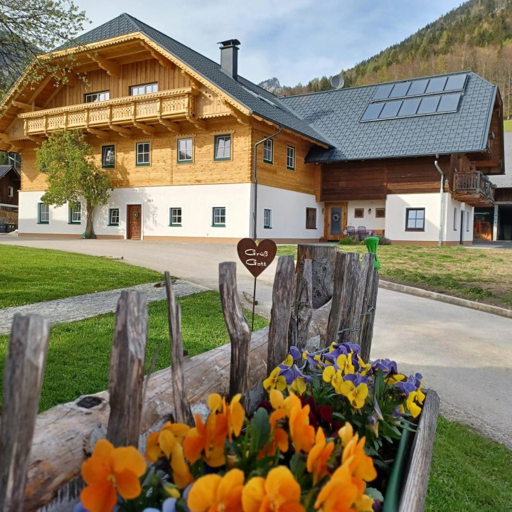 Auerhias - Wolfgangsee