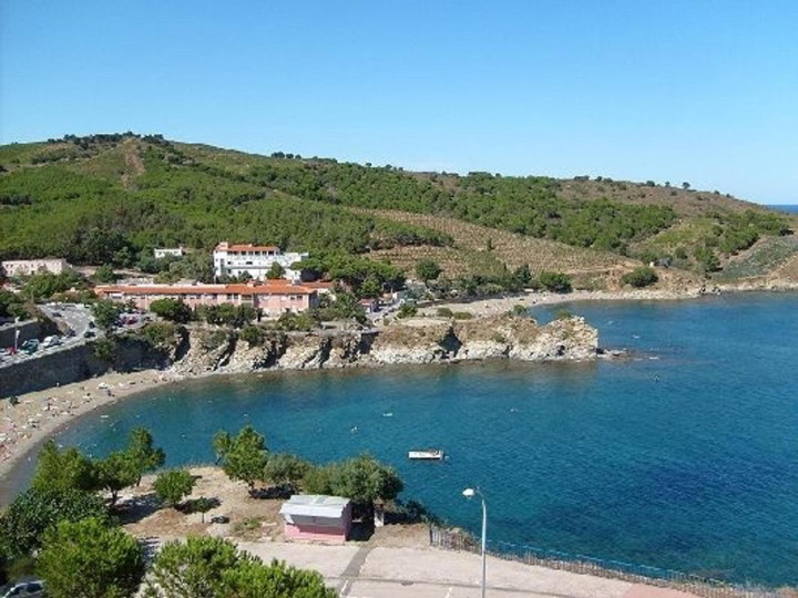 Studio Confortable Avec Vue Mer, Loggia, Animaux Acceptés Et Parking Privatif - Fr-1-309-75 - Banyuls-sur-Mer
