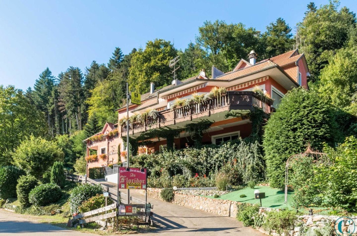Hotel Restaurant Au Floridor - Cernay