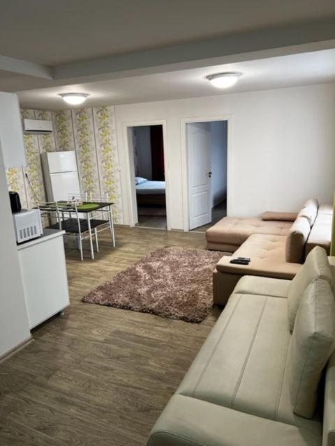 Apartament 9 Central - Transylvania