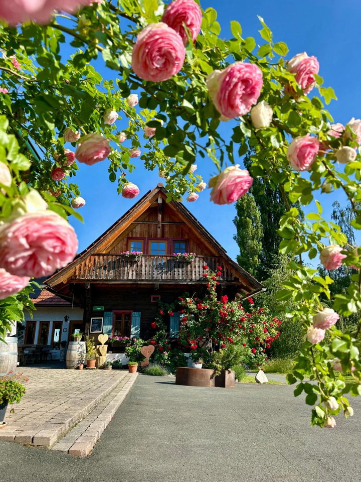 Weingut Winzerzimmer Rothschädl - Austria