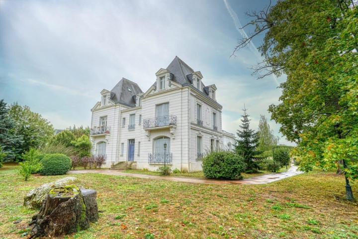 La Reine Blanche - Saint-Fargeau-Ponthierry